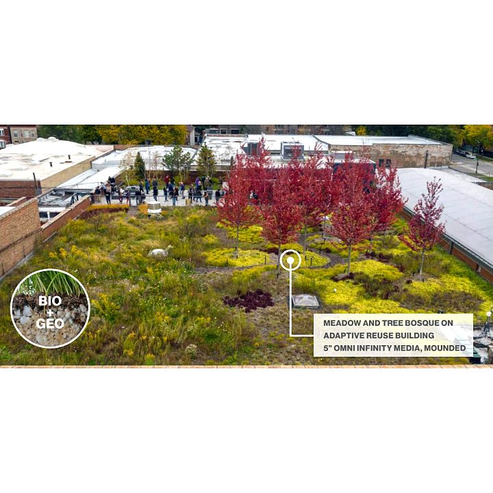 Omni Ecosystems Meadow Seed Mix for Eco Living Green Roof 1 Bag